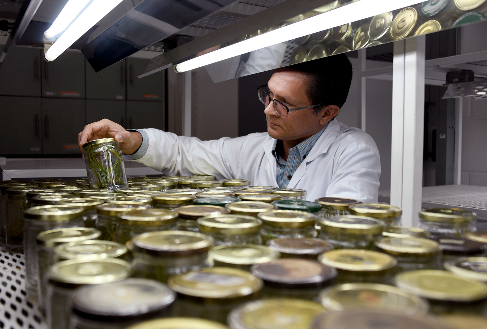 Noticia - Catedrático Humboldt visita Alemania para promover nuevos ...